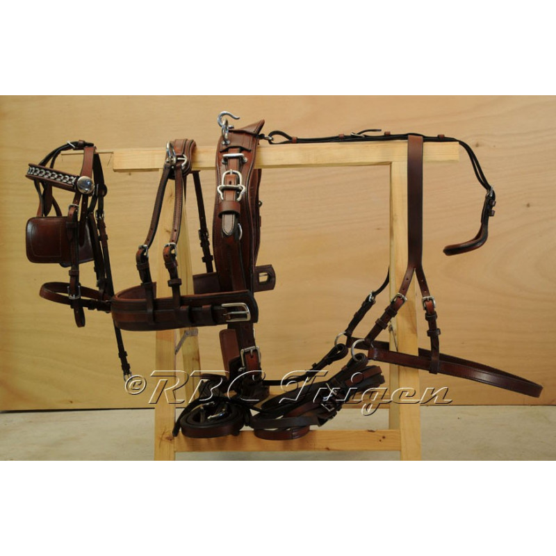 (mini mini) shetlandtuig op maat gemaakt van RBC®. | Ruitersport Benjamins