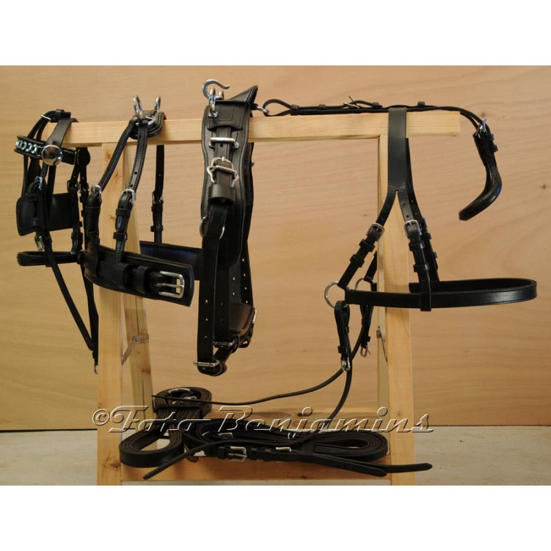 (mini mini) shetlandtuig op maat gemaakt van RBC®. | Ruitersport Benjamins