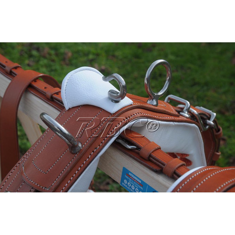 RBC tuig, de luxe | Ruitersport Benjamins